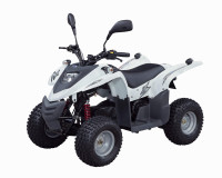 Adly E-S2000 ATV Picture Gallery - Bikes4Sale