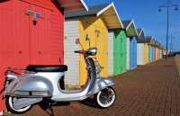Bumblebee Classic Scooter Picture Gallery - Bikes4Sale