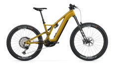 Bugatti - Bikes4Sale