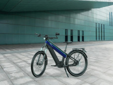 Wing Freedom Fatty 2 Bicycle: Price, Review, Specs and Features ...