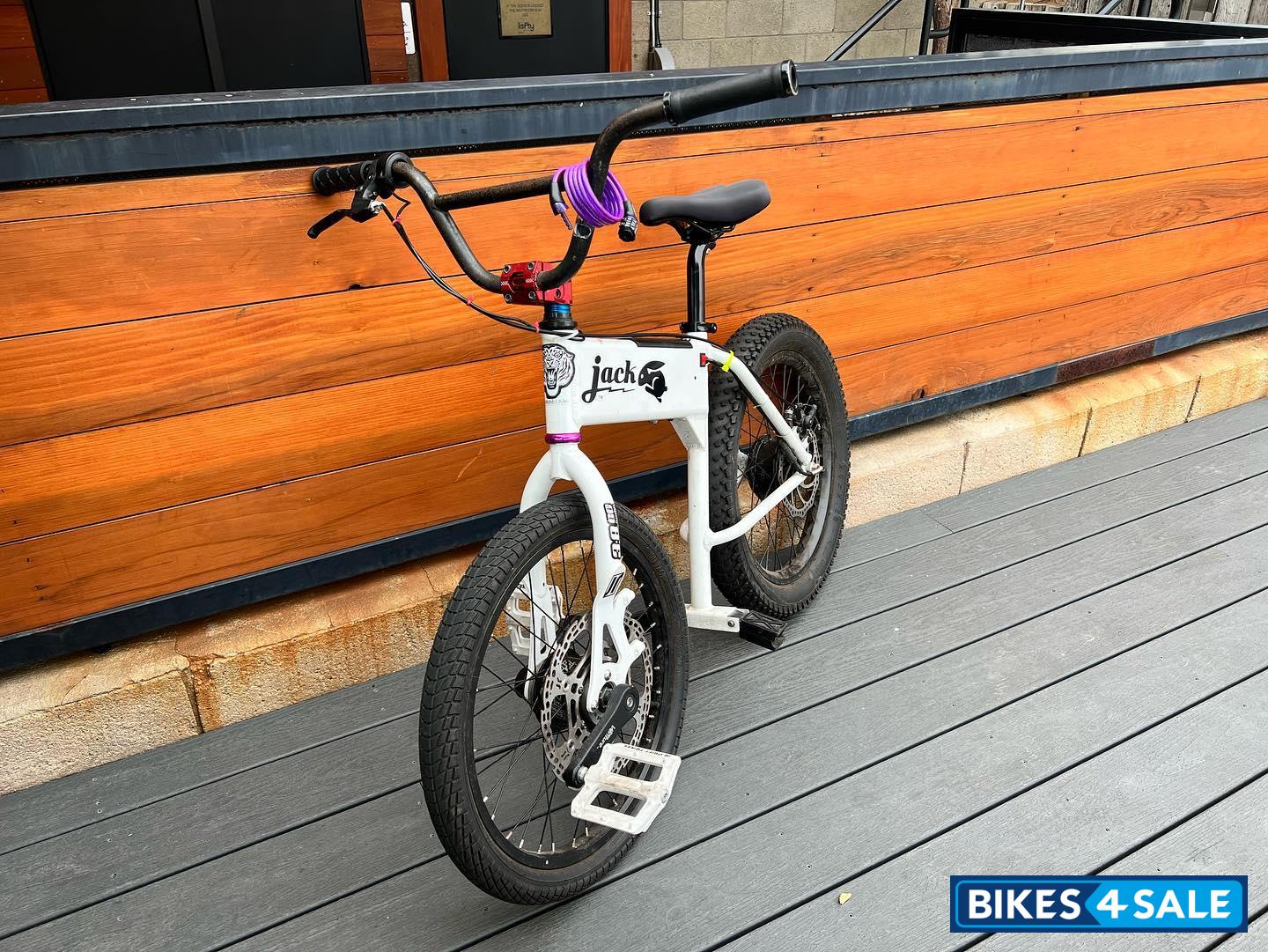 JackRabbit JackRabbit Electric Bicycle Price, Specs and Features ...