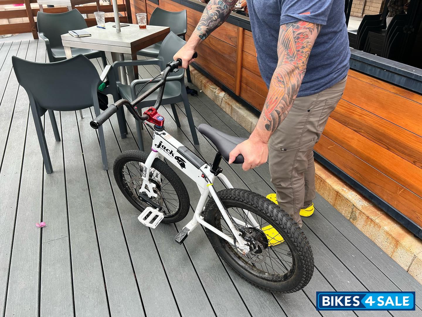 JackRabbit JackRabbit Electric Bicycle Price, Specs and Features ...