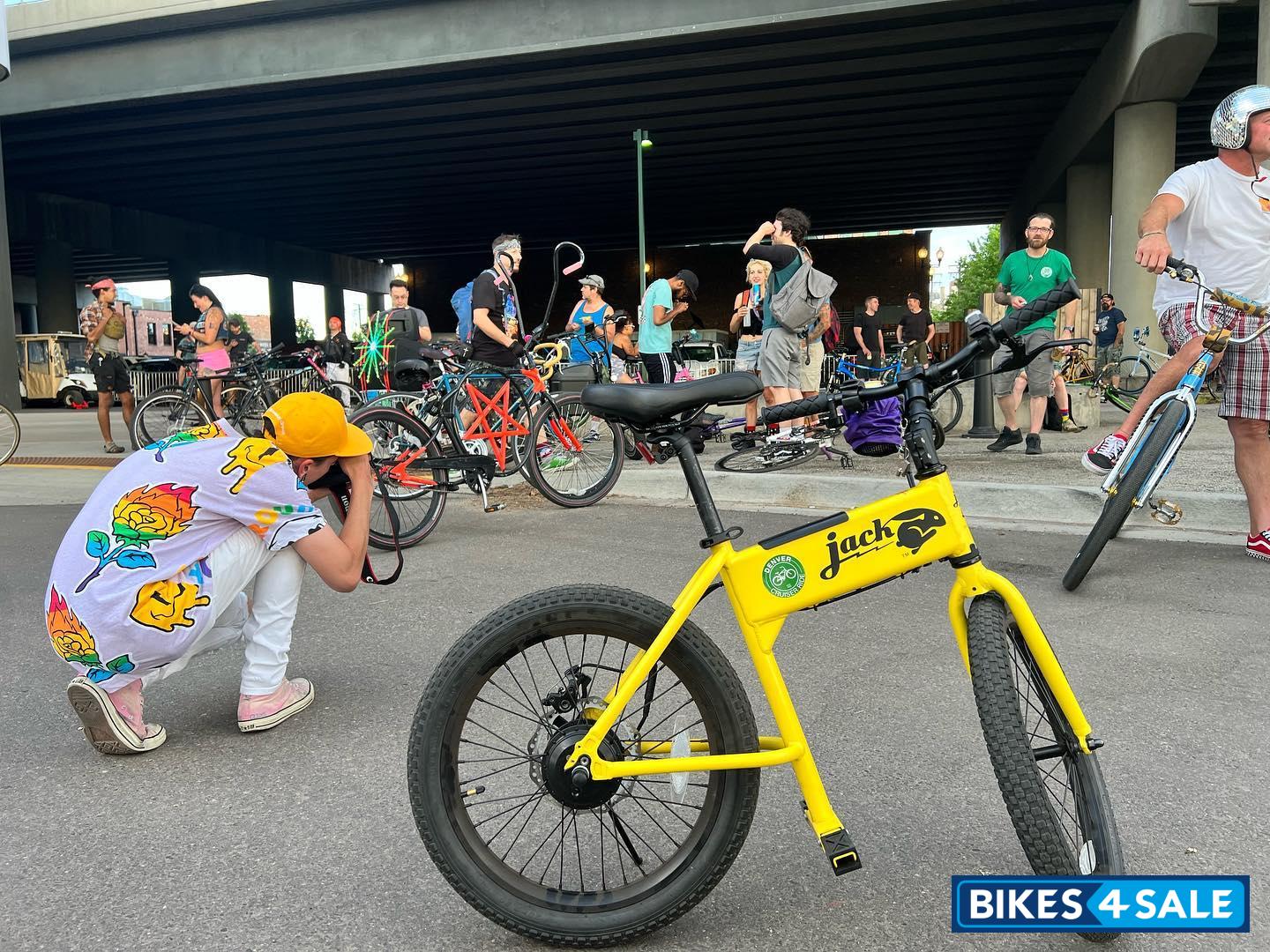 JackRabbit JackRabbit Electric Bicycle Price, Specs and Features ...