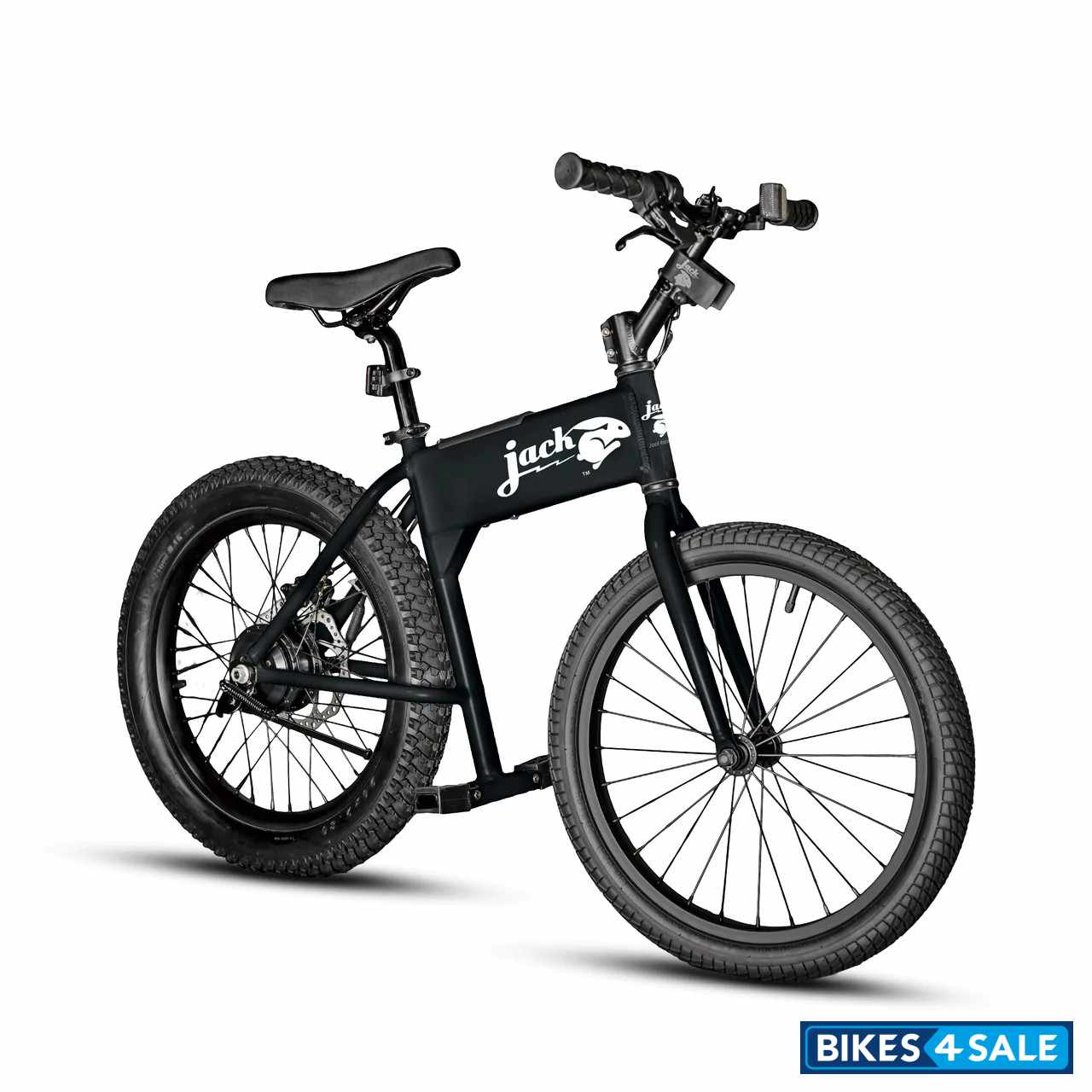 JackRabbit JackRabbit Electric Bicycle Price, Specs and Features ...