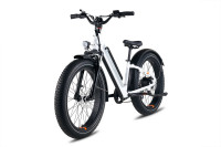 Rad Power Bikes RadRover 6 Plus Step-Thru Bicycle Picture Gallery ...
