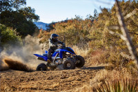 Yamaha 2022 Raptor 700R ATV Picture Gallery - Bikes4Sale