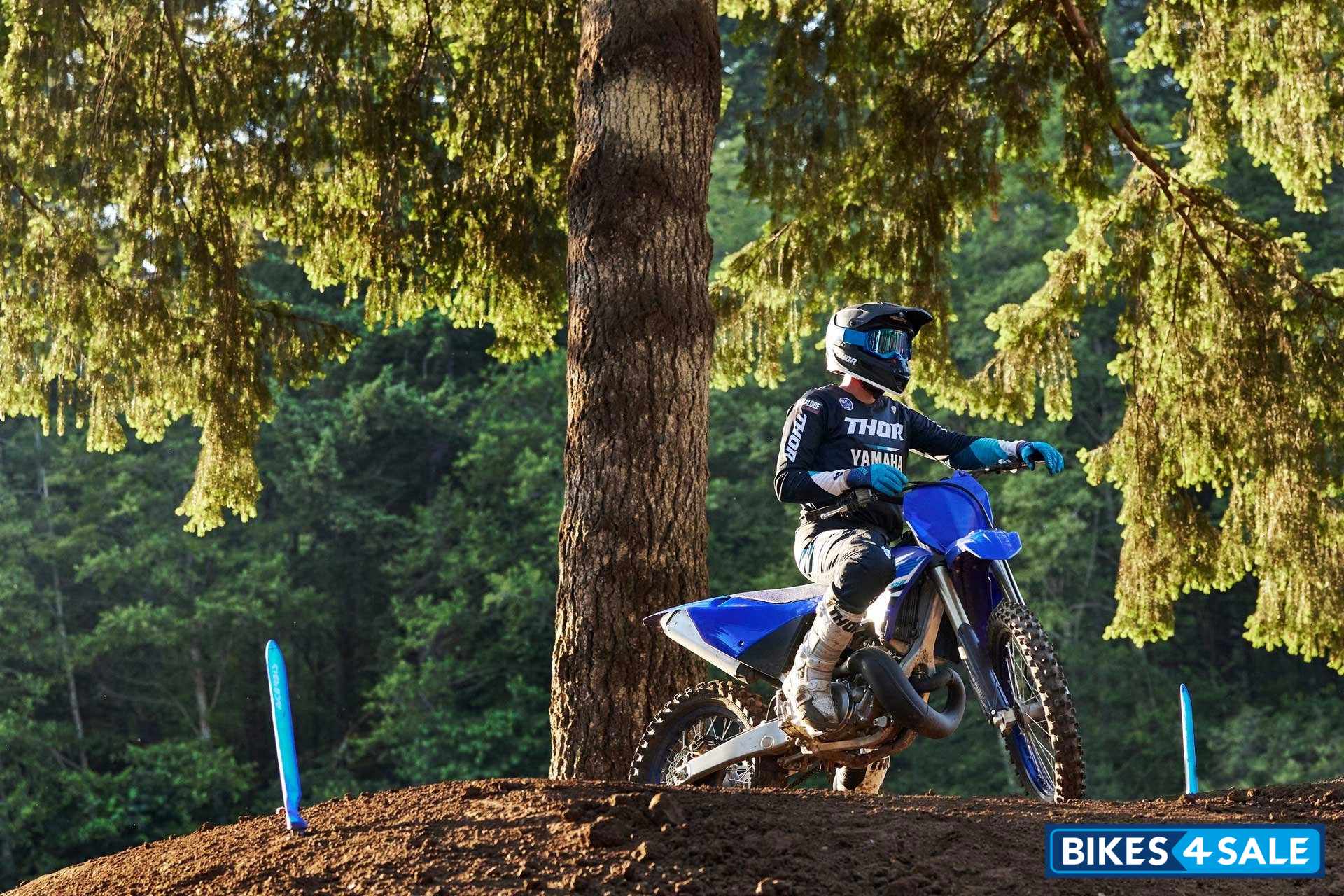 Yamaha 2025 YZ250 Team Yamaha Blue Motorcycle Price, Specs and Features - Bikes4Sale