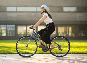 Chappelli - Bikes4Sale